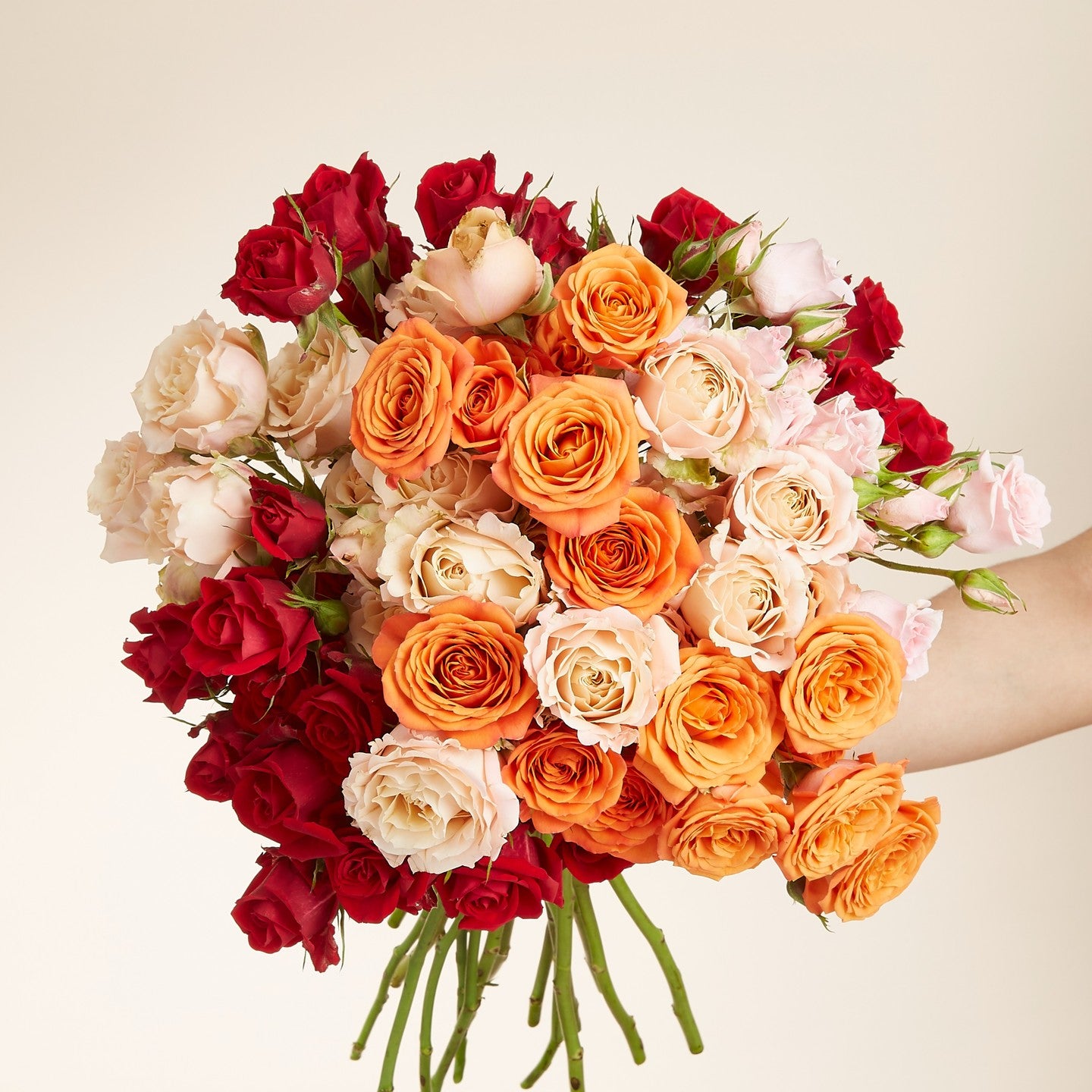 Bloom by Bunches | Wholesale Bulk Roses & Flowers | DIY Wedding Flower