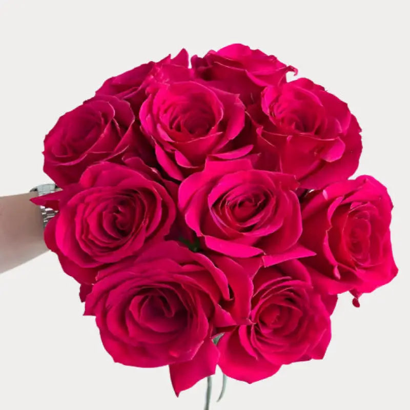 CHERRY O! HOT PINK ROSE | BLOOM BY BUNCHES