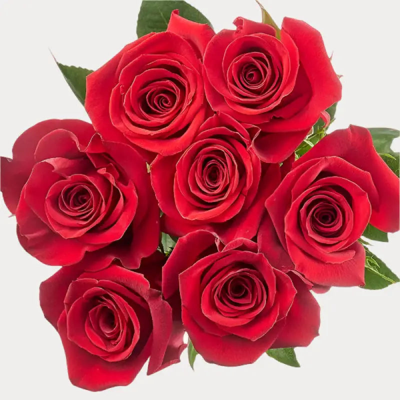 FREEDOM RED ROSES LONG STEM|DIY Wedding &Events Flowers | BloombyBunches