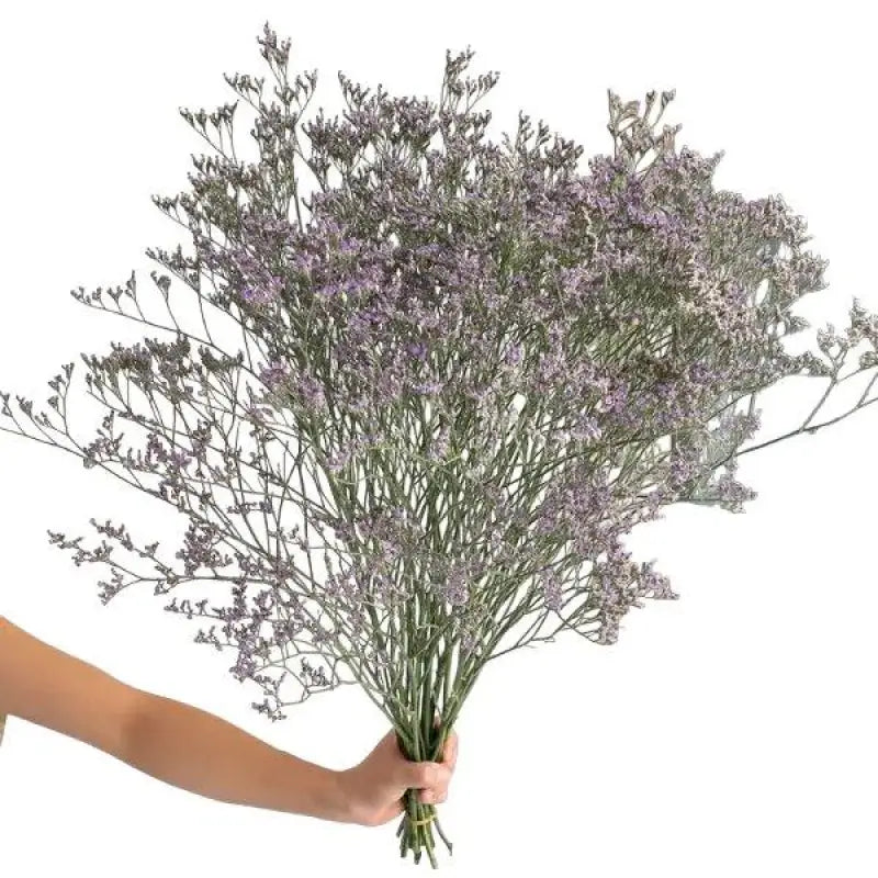 LIMONIUM BLUE MAIN |DIY Wedding & Events Flowers | BloombyBunches