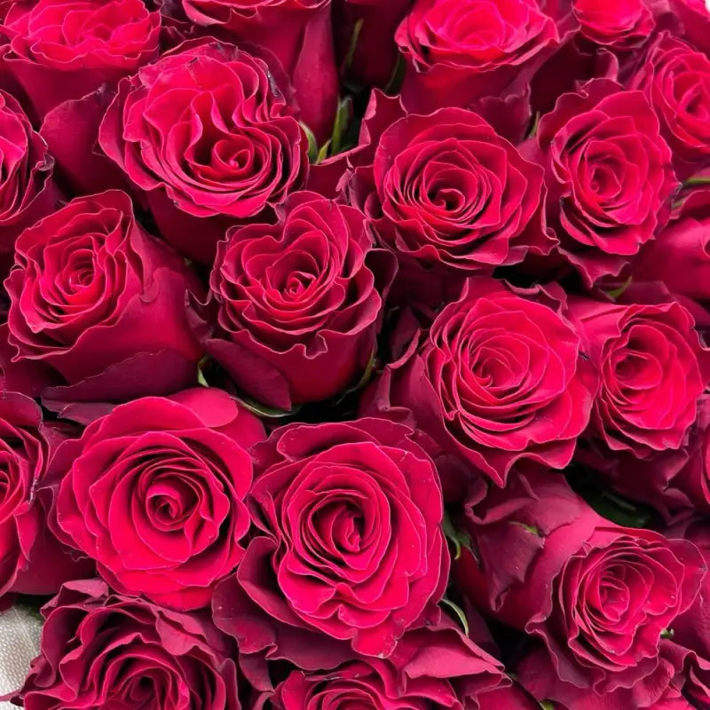 RED ROSE-BULK ROSES | BloombyBunches