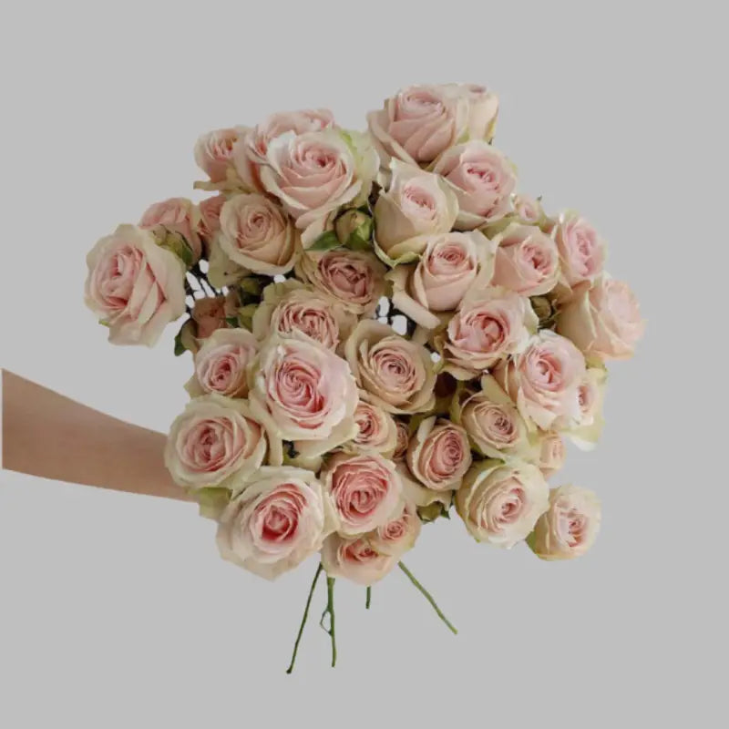 SPRAY ROSE LIGHT PINK IRISHKA |DIY Weddings & Events flower| BloombyBunches