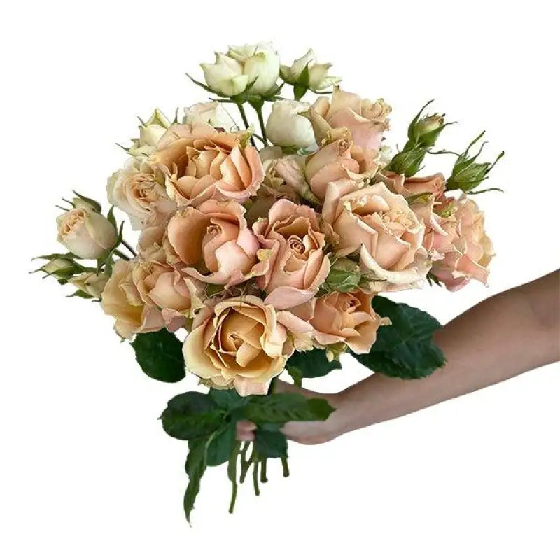 SPRAY ROSE SAHARA SENSATION |DIY Weddings & Events flower| BloombyBunches
