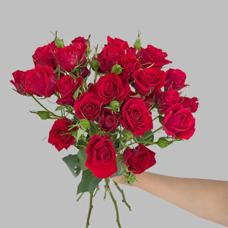 SPRAY ROSE RED|DIY Weddings & Events flower| BloombyBunches