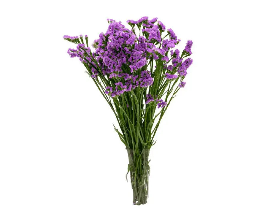 Wholesale Purple Statice